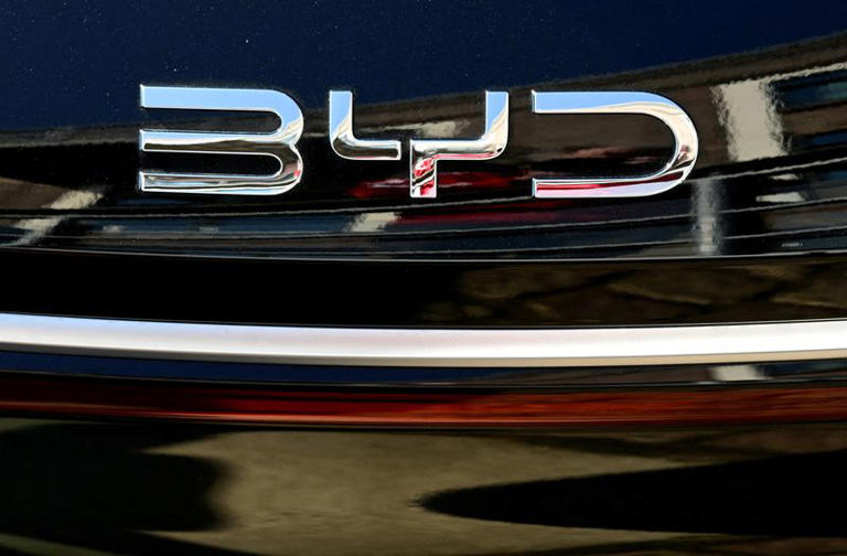 BYD snaps longest streak of sales declines