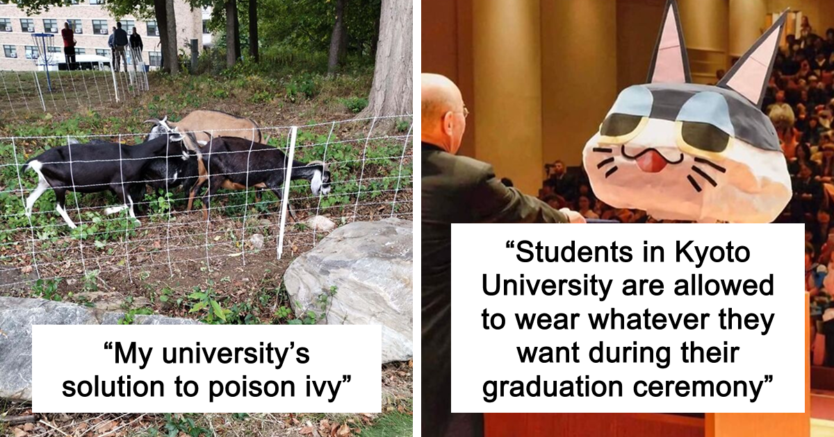 72 surprisingly genius ideas schools and universities have implemented