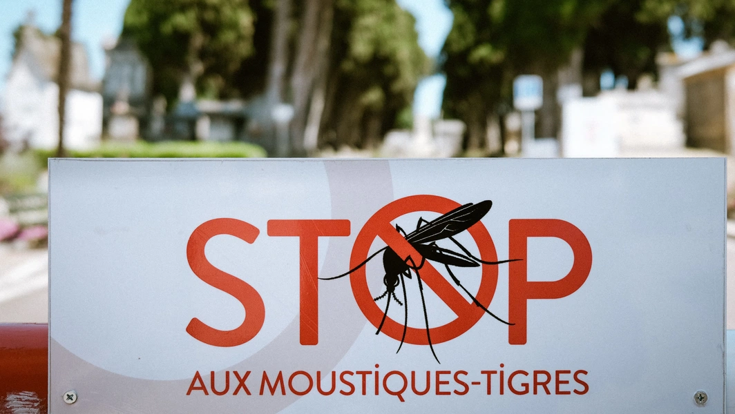 Google seeks approval to release 32 million sterile mosquitoes