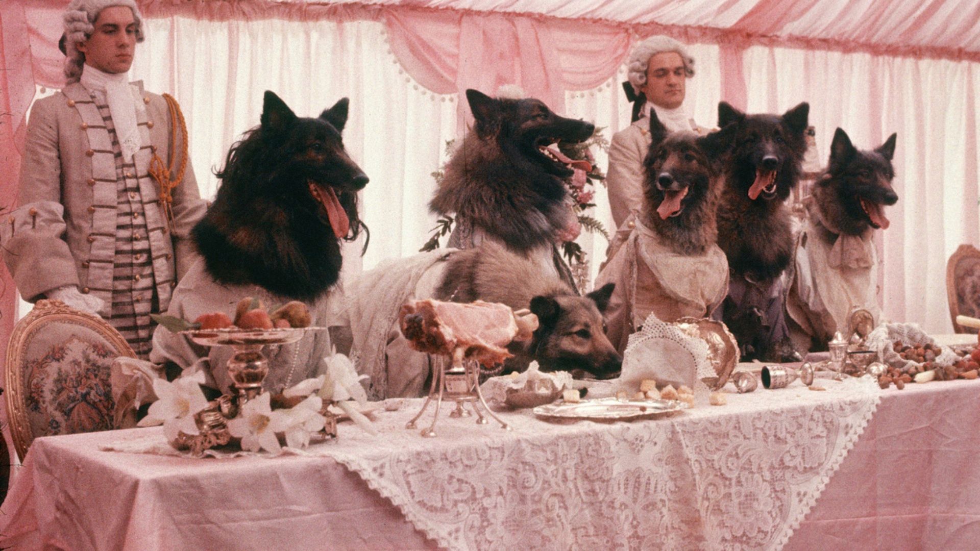 10 essential werewolf movies, ranked