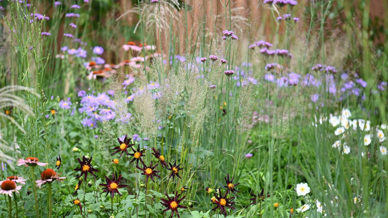Designers are ditching all-white gardens – these gentler color palettes ...