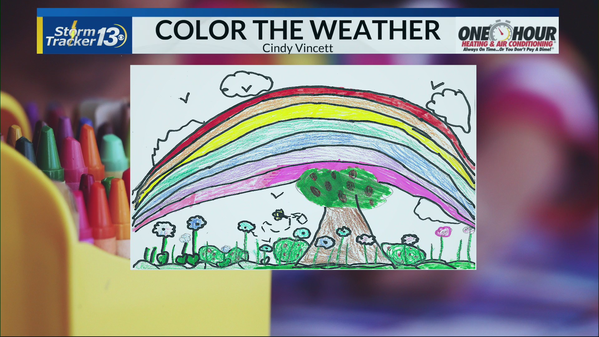 Color the weather: Cindy Vincett