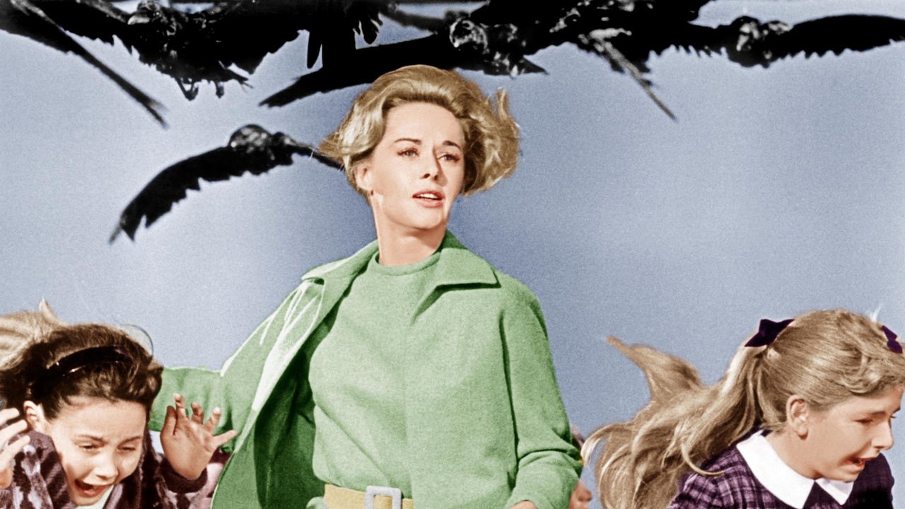 Les oiseaux : un remake en série pour le classique d’Hitchcock, avec ...
