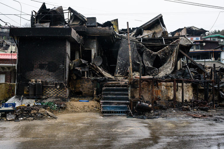 2025 costliest year on record for wildfires, study finds