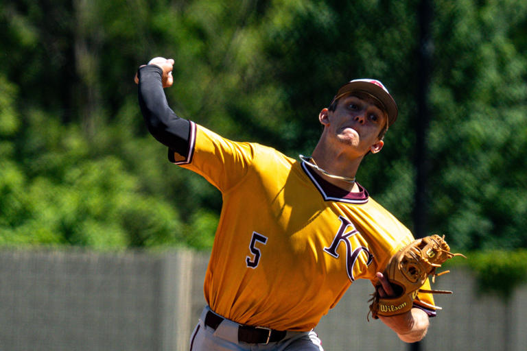10 Kalamazoo-area baseball teams win district titles — see all the ...