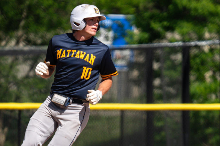 10 Kalamazoo-area baseball teams win district titles — see all the ...