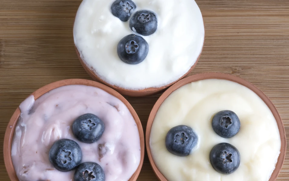 Your daily yogurt habit decoded for gut health