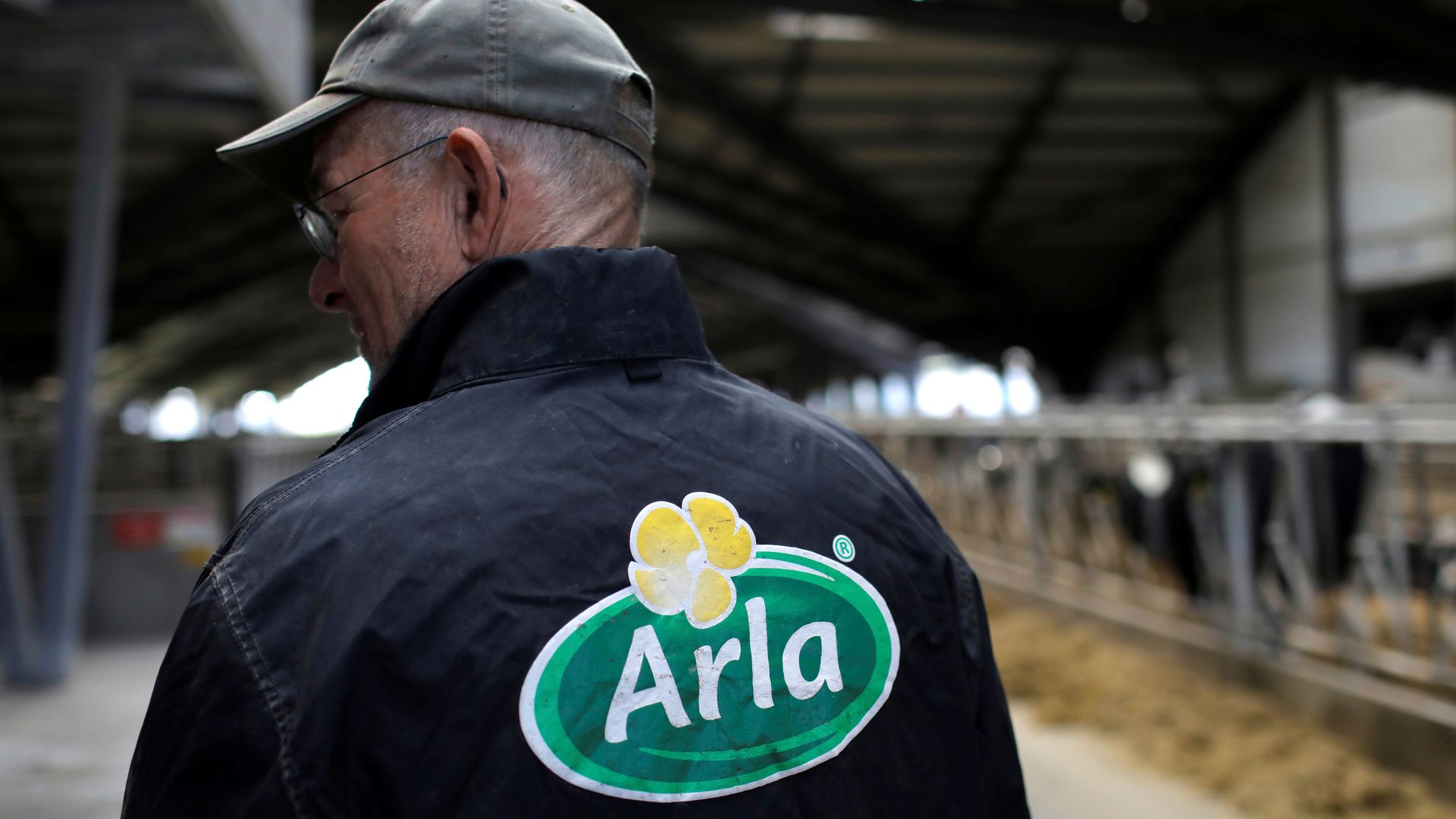 Molkereien Arla und DMK: Fusion schafft riesige Milchgenossenschaft