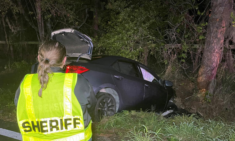 PCSO: Auburndale man dies after vehicle crashes into a tree