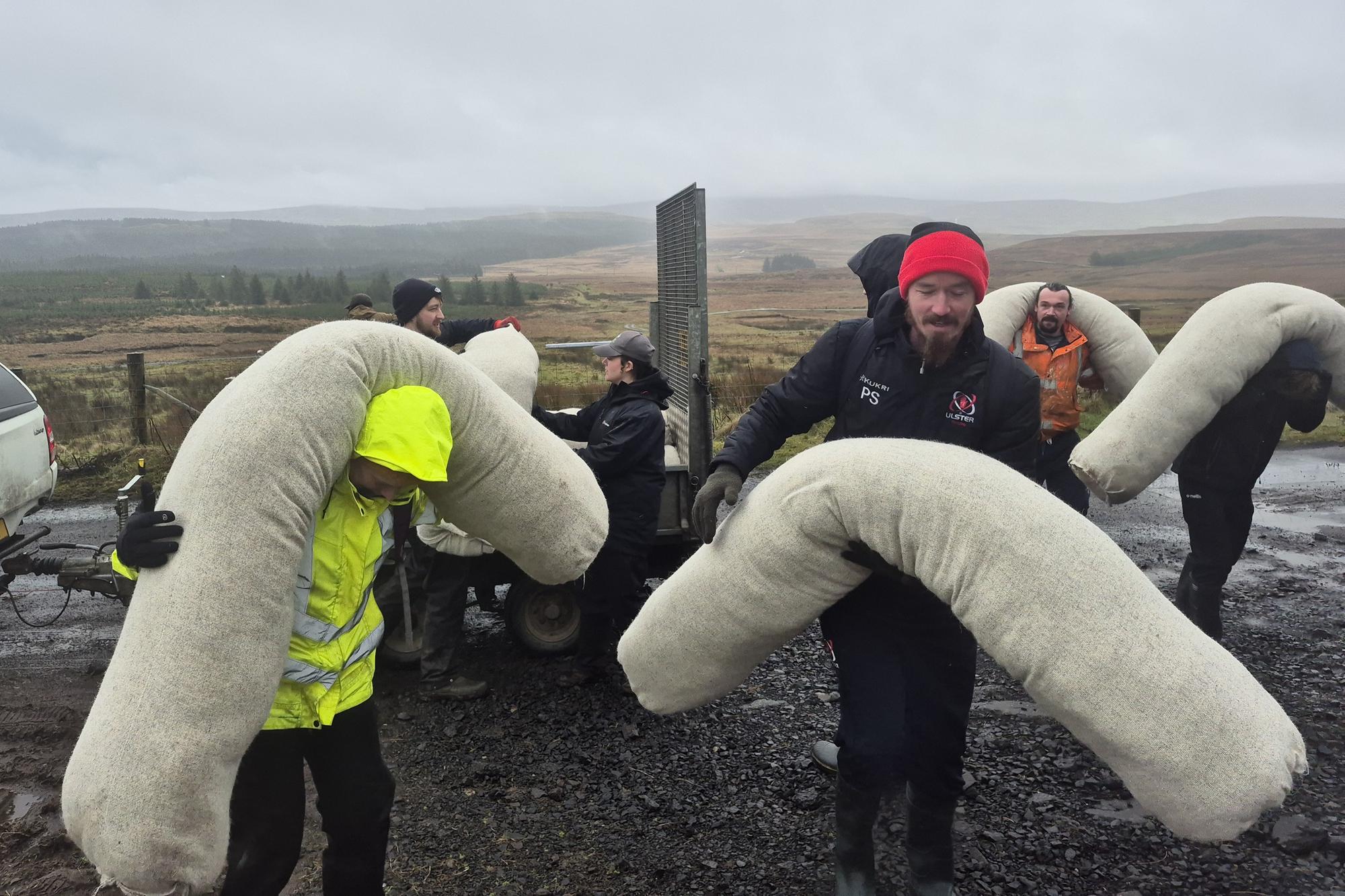 Shear genius: How farmers and environmental experts came together to ...
