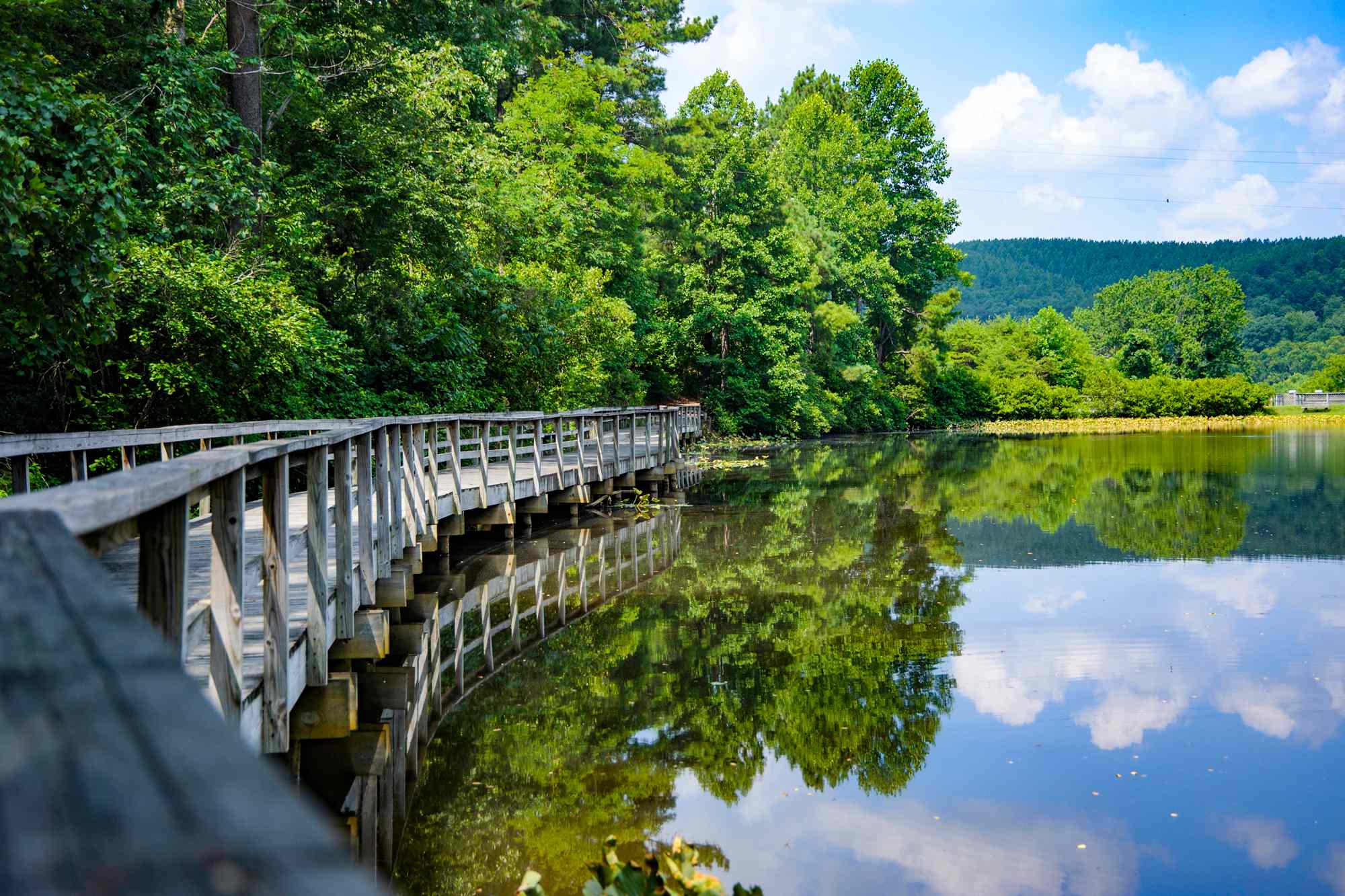 I live in Virginia, and this state park is one I keep returning to for ...