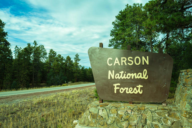 Remains found at national forest identified as missing scientist