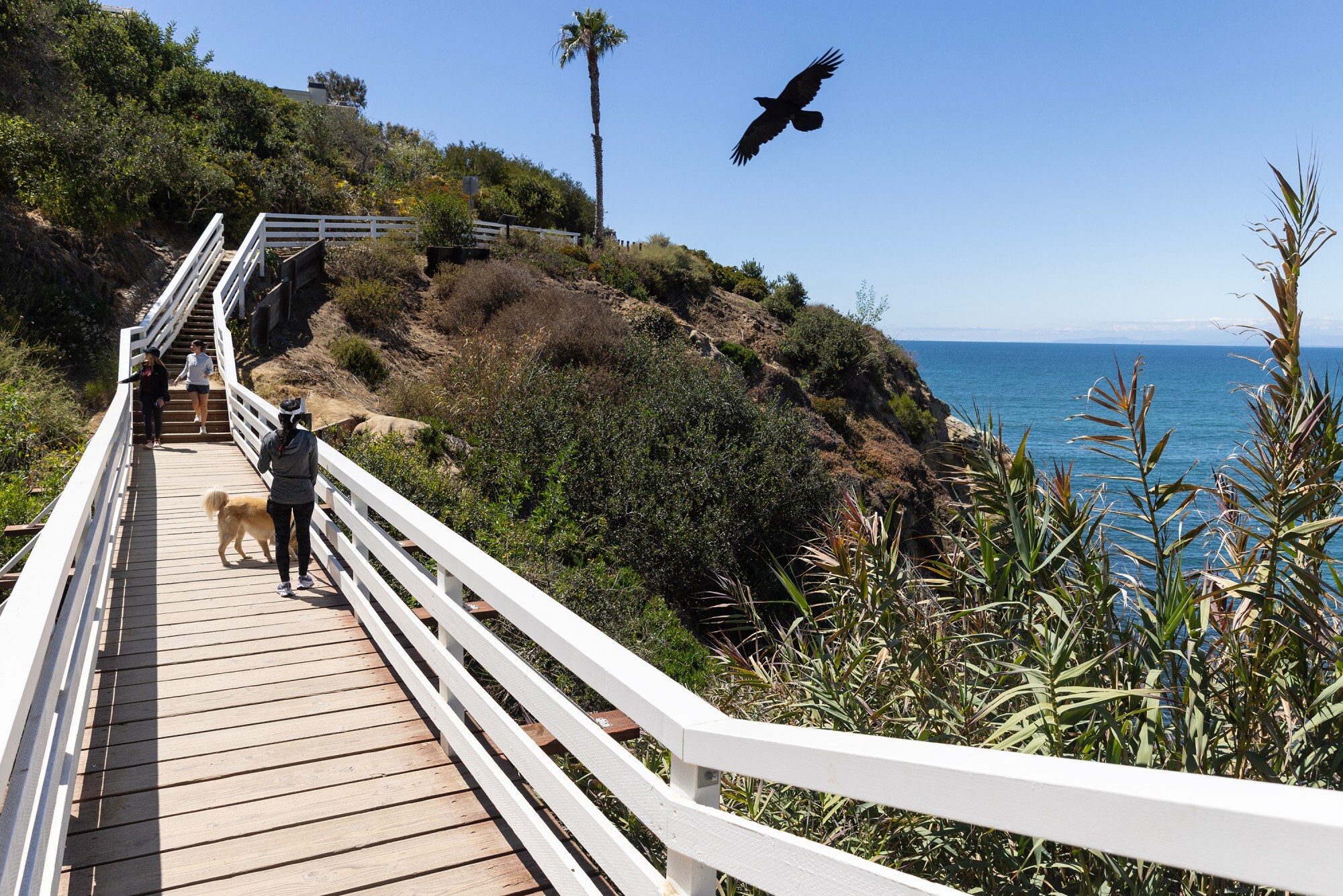 San Diego just assessed all its pedestrian bridges for the first time ...