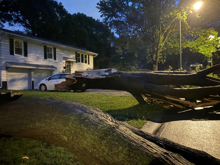 Photos: Overnight storms in Kansas City bring wind damage, trees down