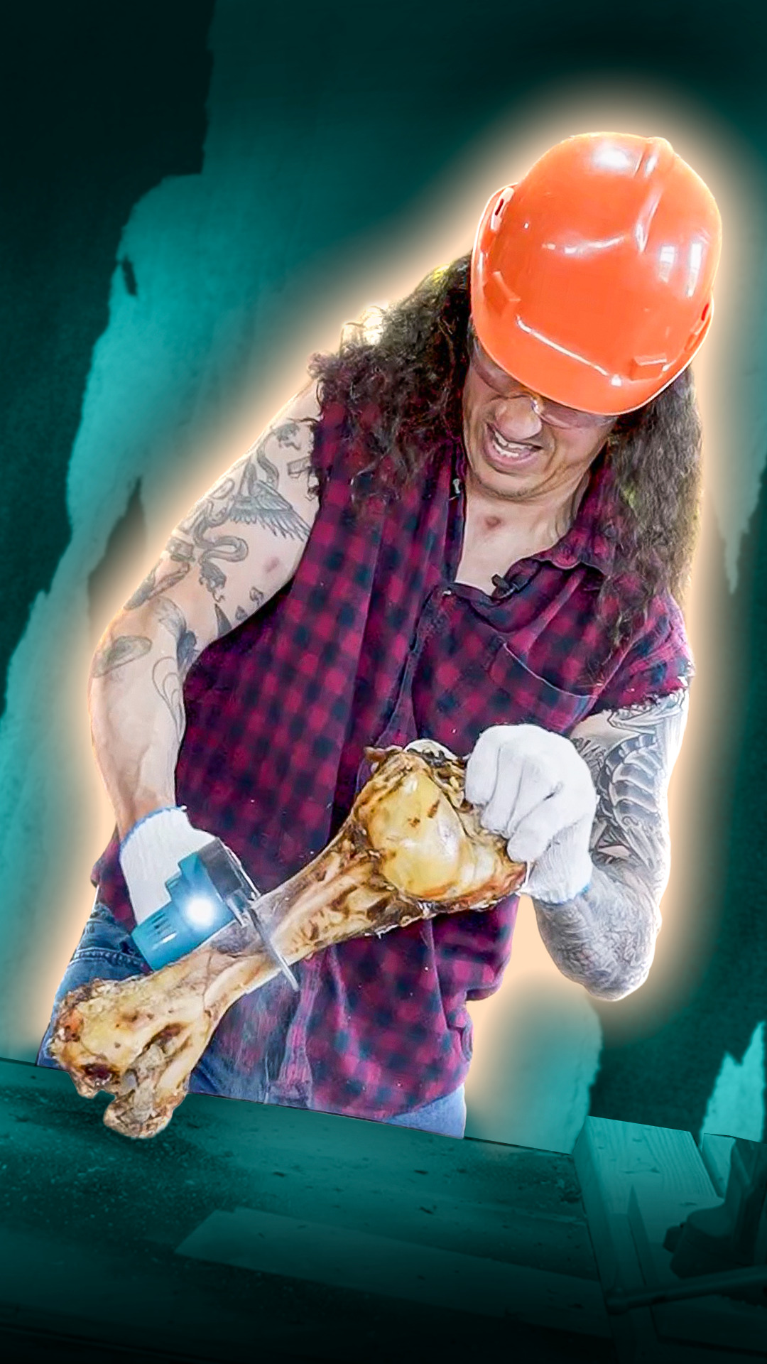 Dog toys challenged the mini chainsaw
