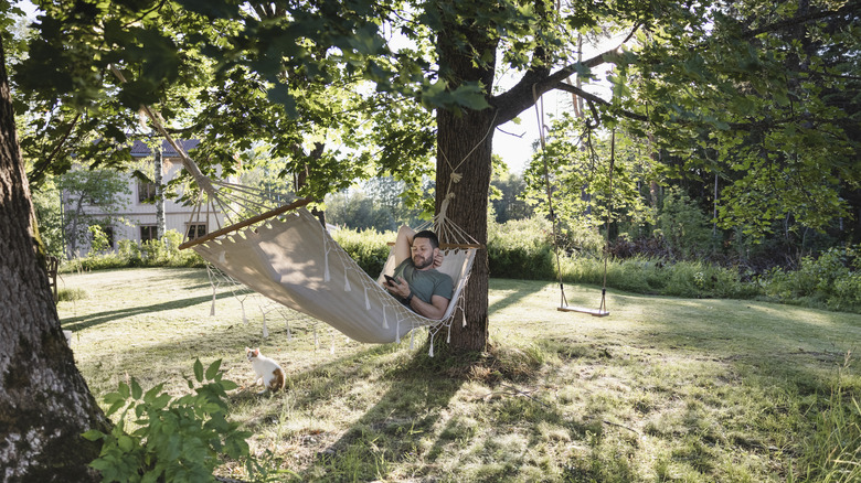 The simple and affordable DIY fencing idea that'll make your yard more ...