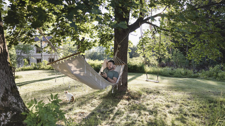 The simple and affordable DIY fencing idea that'll make your yard more ...