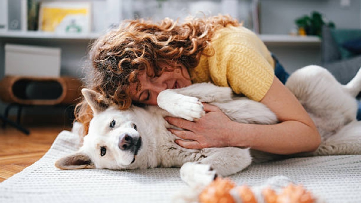 10 signs your dog feels completely safe with you, according to canine ...