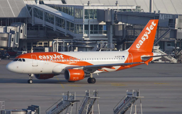 Details emerge in potential bid for EasyJet