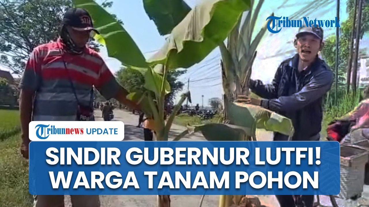 Viral! Aksi protes warga Blora tanam 30 pohon pisang di jalan, sakit ...