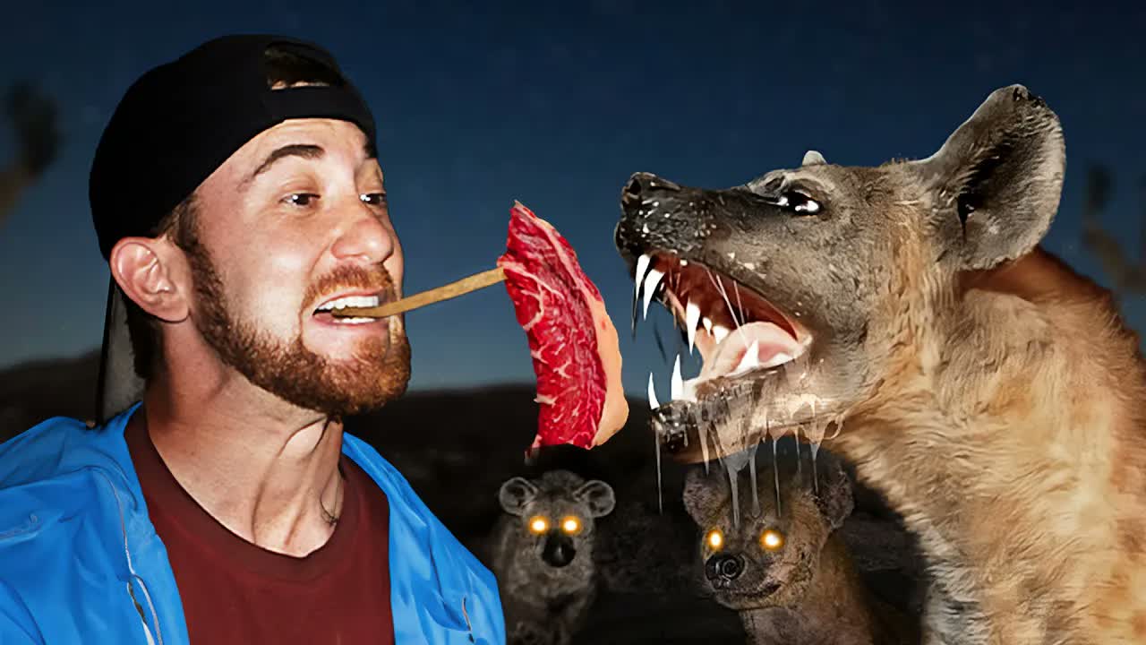 500 hungry hyenas. One very bad decision