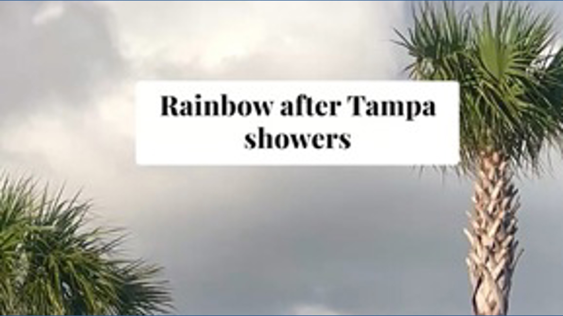 Tampa rainbow