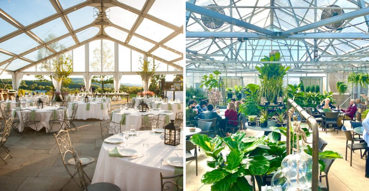 This Virginia Tree Nursery and Garden Shop Feels More Like the European ...