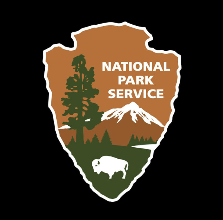 Tourist allows toddler to walk straight up to bison @ Yellowstone ...