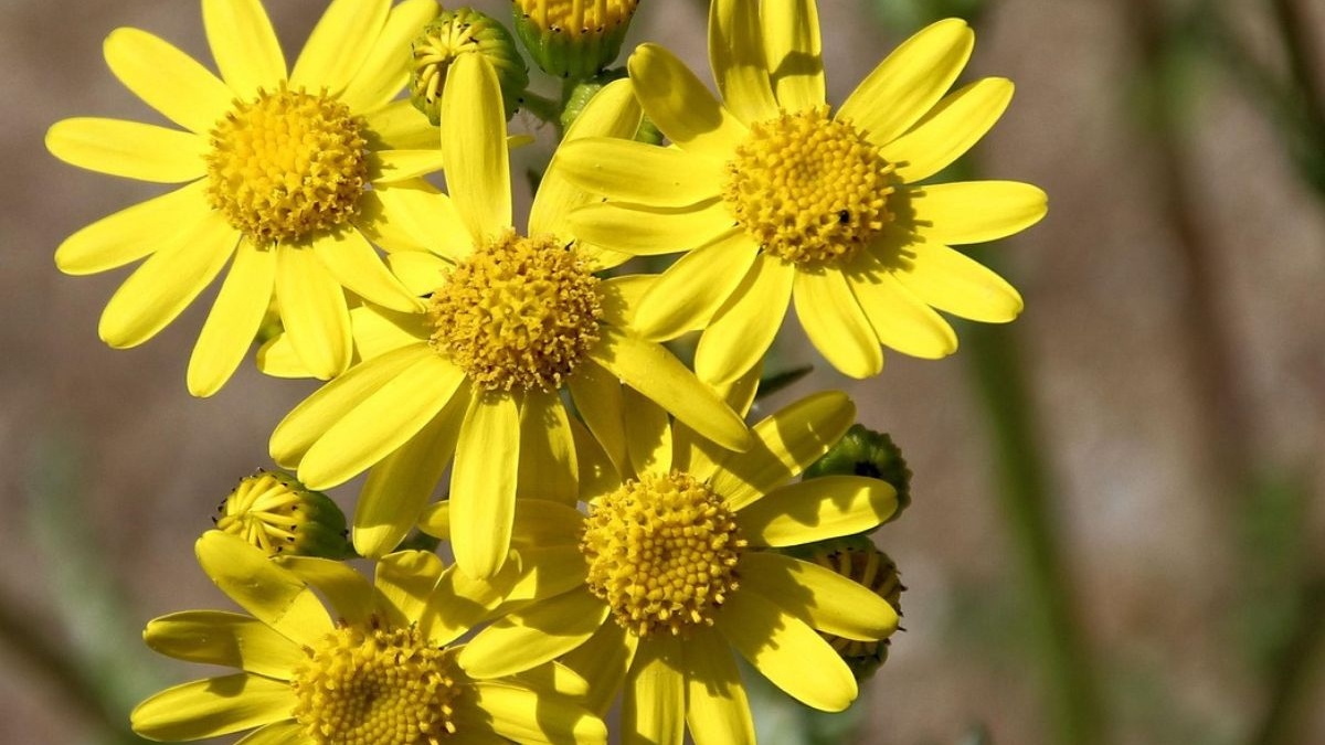 11 colors men say they find less attractive