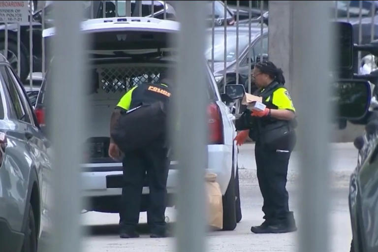 Atlanta train passenger was stabbed 20 times after homeless thug slit ...