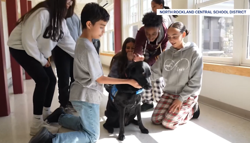 Dog makes history receiving full teacher tenure at Fieldstone Middle School