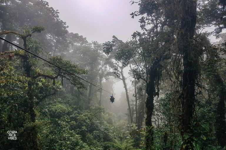 Monteverde, Costa Rica: What to know before you go (from someone who ...