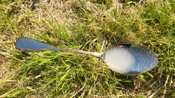 Gardeners urged to put spoonful of sugar water in garden in June