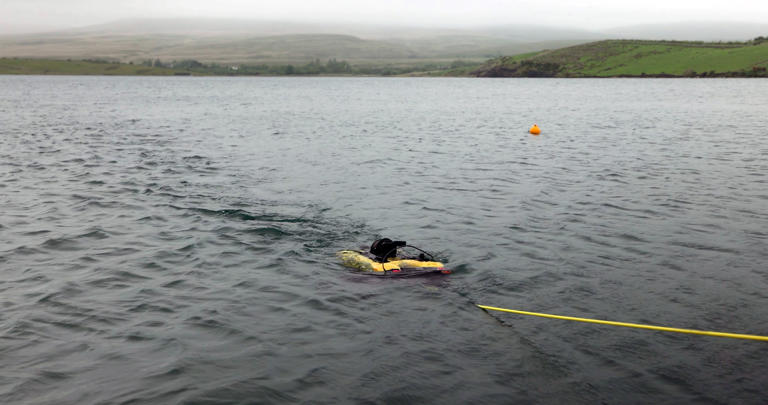 'Phenomenal' robot that can destroy mines in 'murky waters' prepped by ...