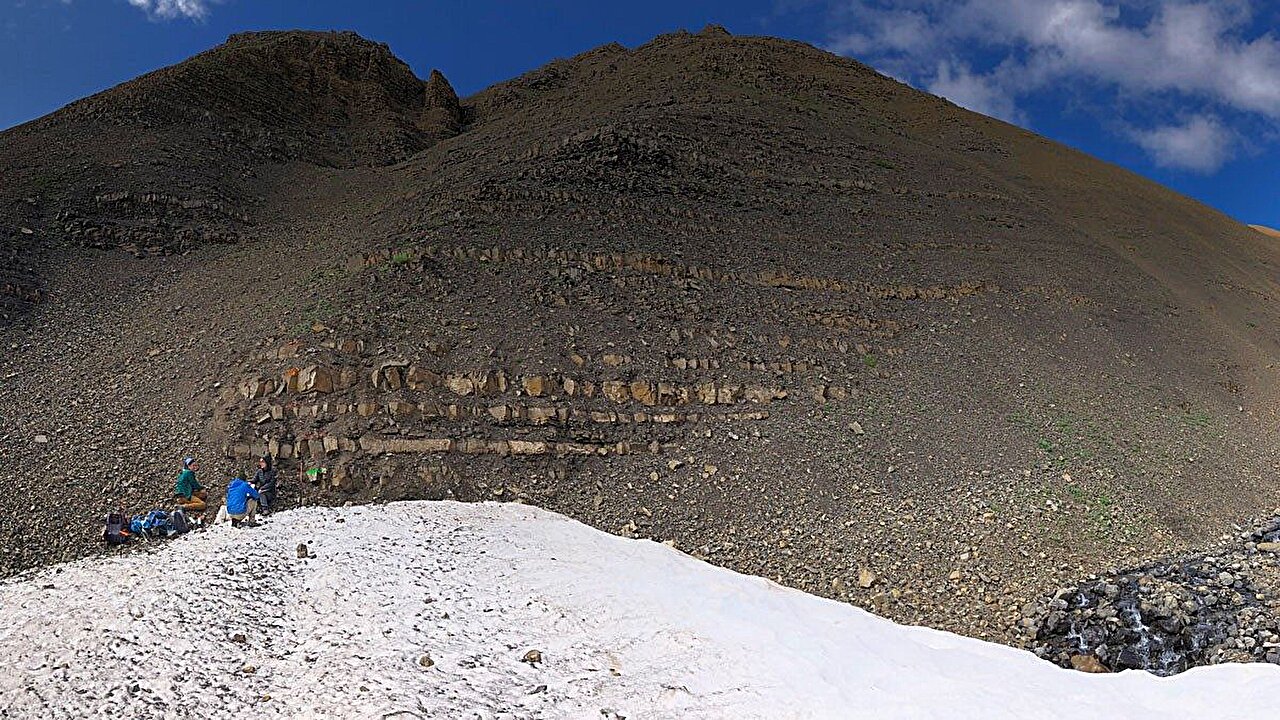 Ancient oceans began suffocating millions of years before Triassic mass ...