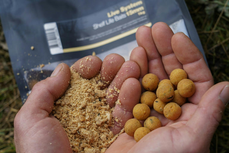 Simple tips to improve your boilie fishing