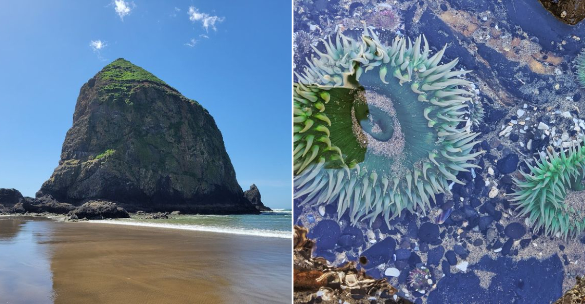 Oregon’s most photographed rock has 235 feet of basalt, tufted puffins ...