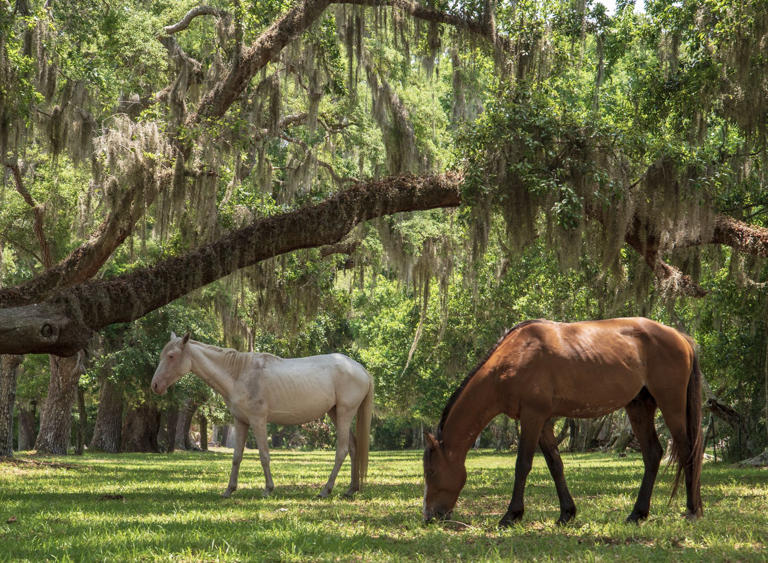 5 off-path US destinations everyone should visit at least once