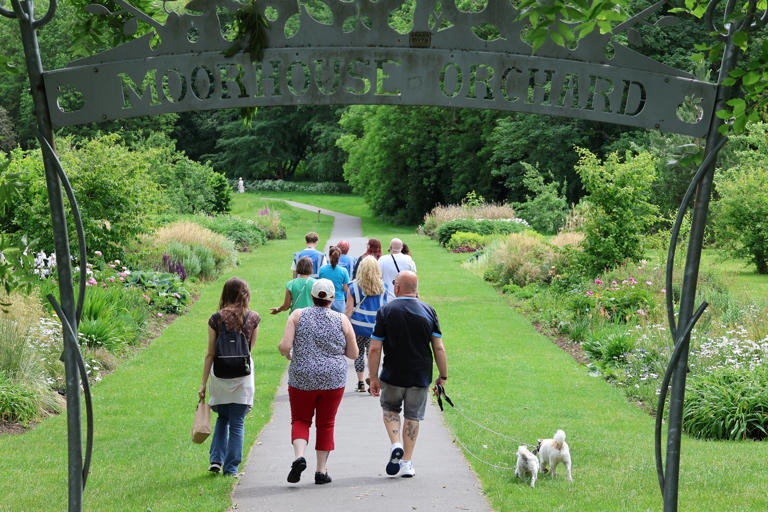 ATTFE College in Sutton takes part in wellbeing walk as part of Walk ...