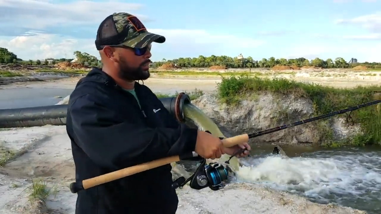 What happens when you drain a lake and forget the fish