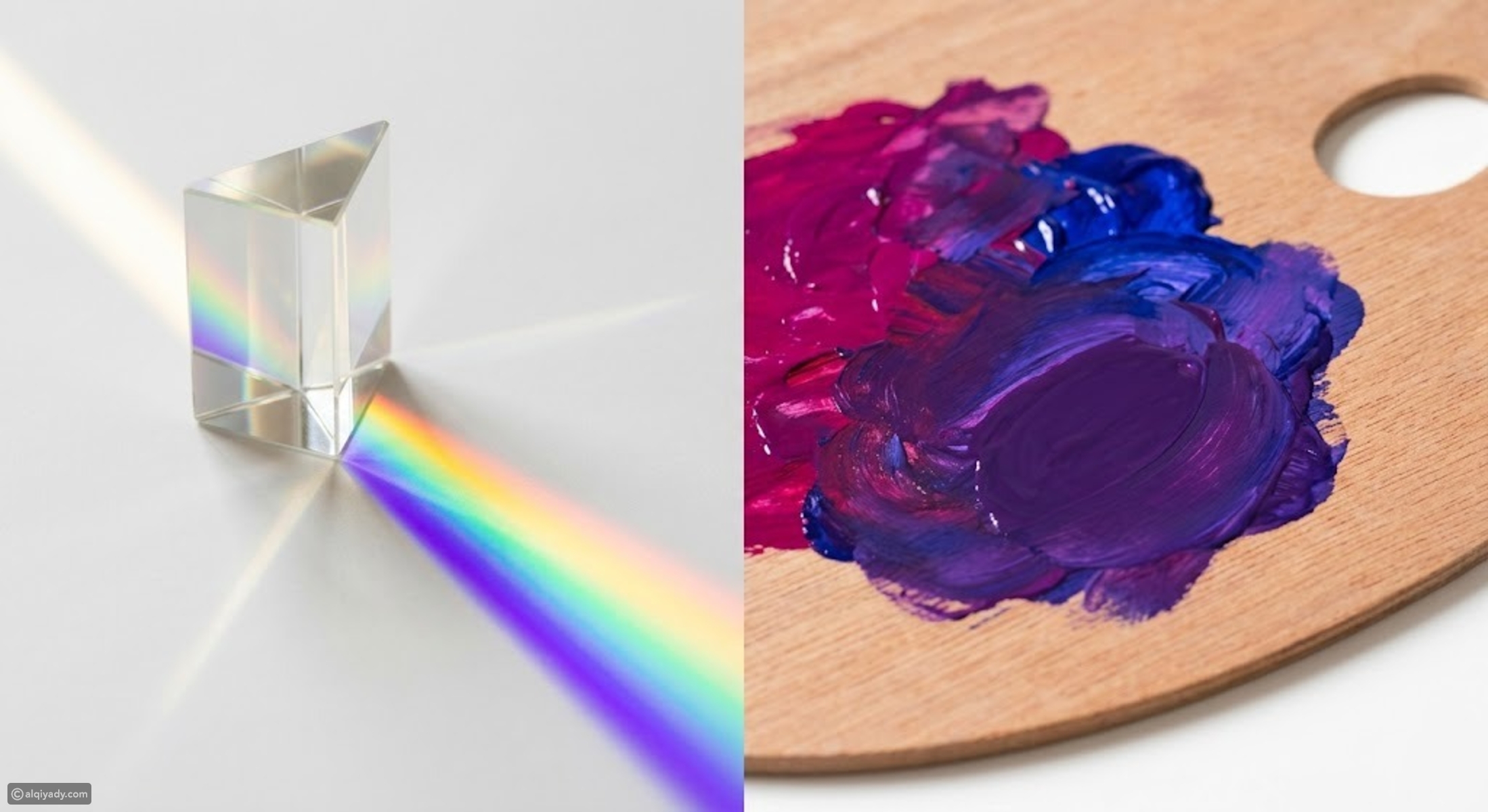 Science says purple isn’t real — your brain is making it up