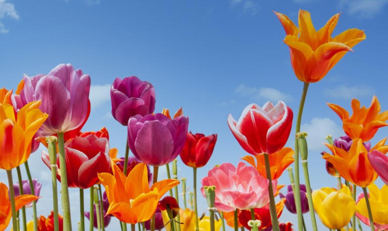 A change of season arrives in the tri-state area Monday