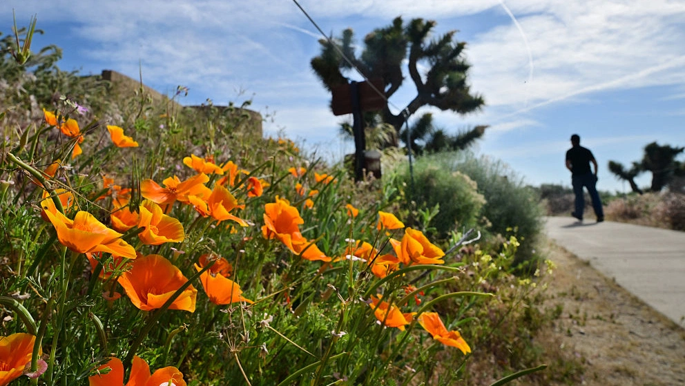 California road trips for every kind of traveler