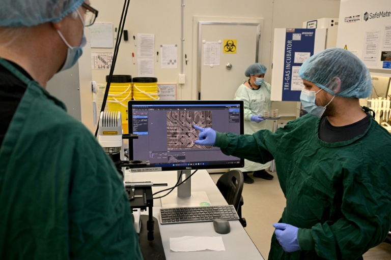 Un chip con neuronas humanas aprende a jugar a 'Doom'