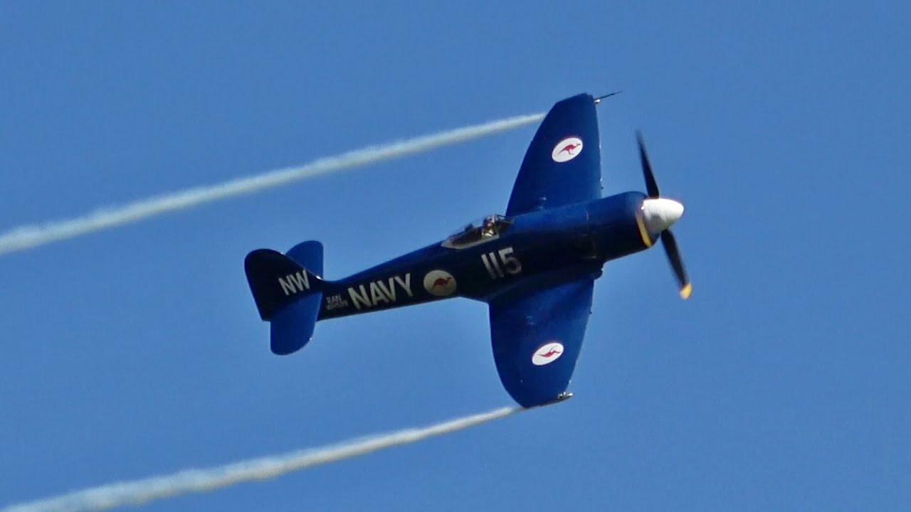 Watch this Hawker Sea Fury roar past the crowd - "That engine is pure ...