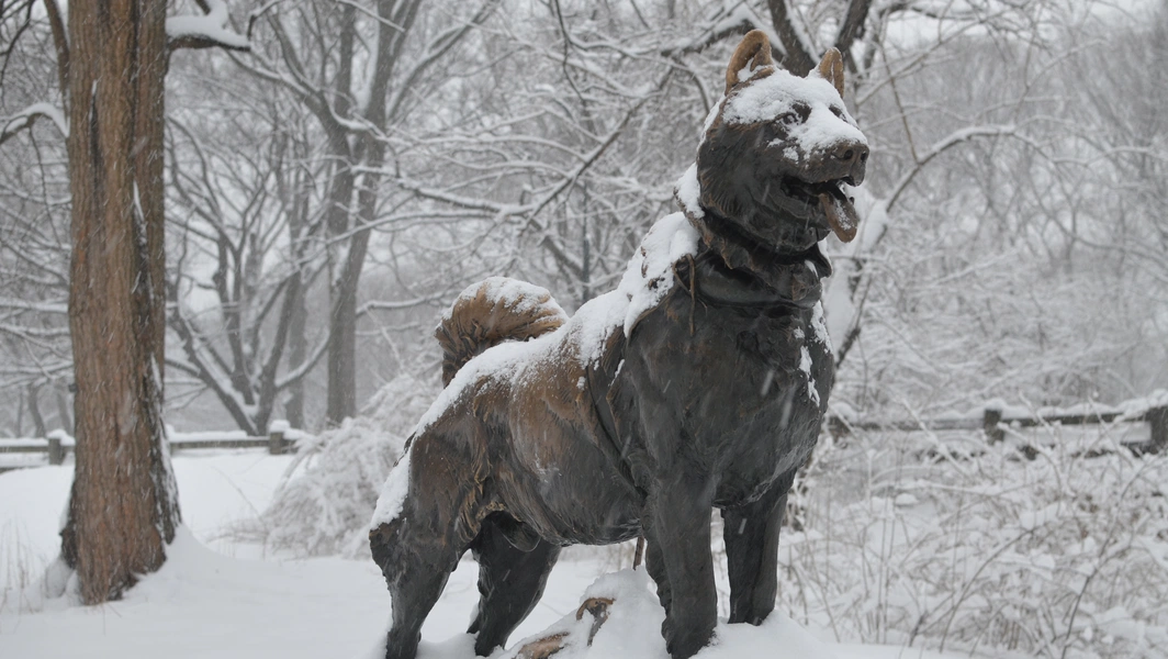 10 most famous animals in history and culture