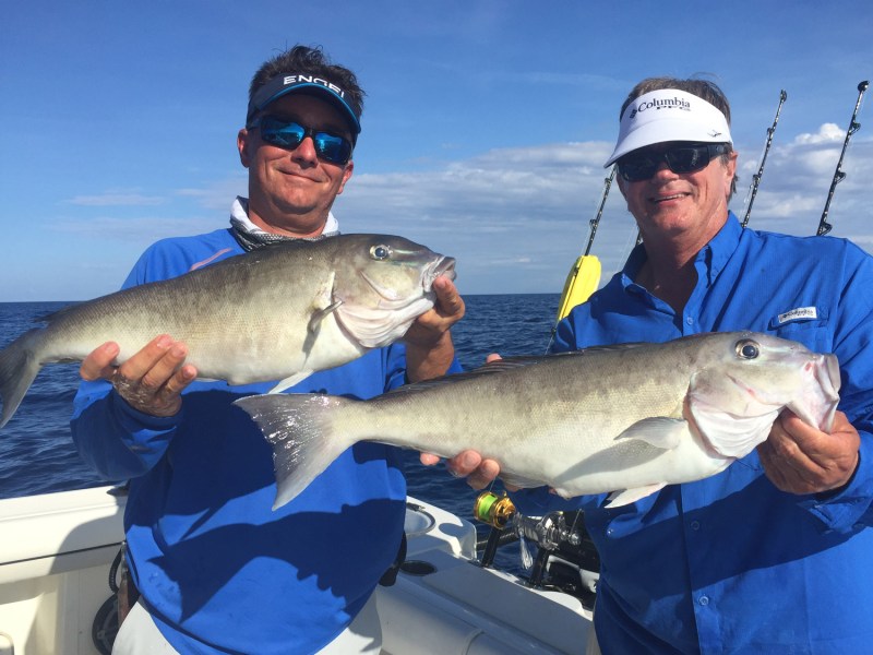 Summer's best deep-drop bottomfishing