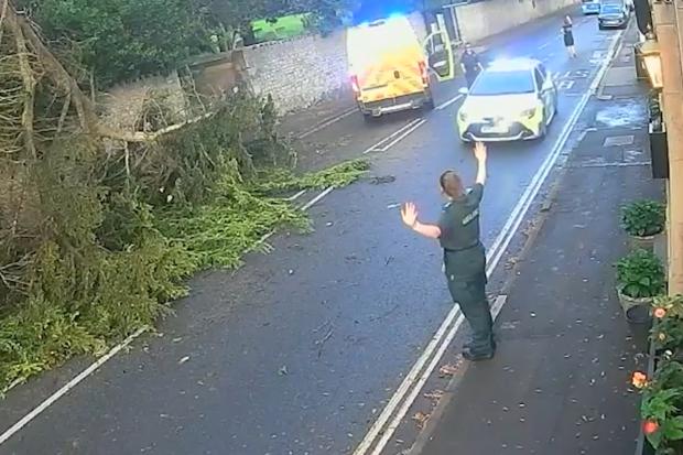 Shocking CCTV footage shows falling tree narrowly missing woman near pub