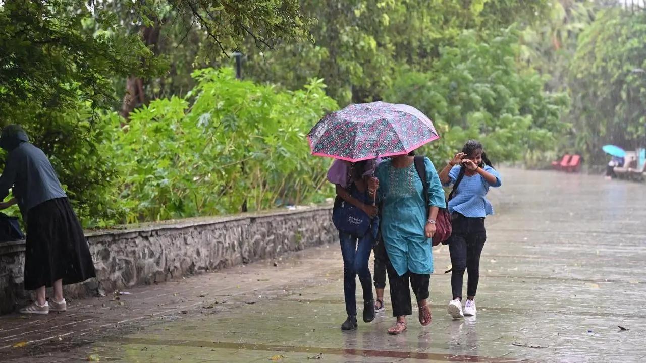 IMD issues yellow alert for nine Kerala districts amid heavy rain warning