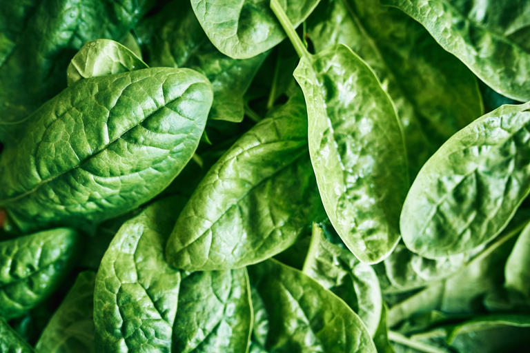 The 1 undiscussed illness that spikes during the summer, according to ...